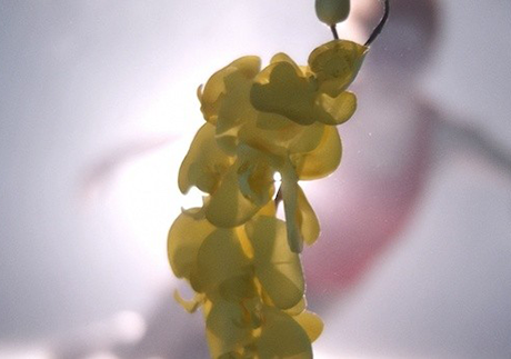 Review: Upstream Color