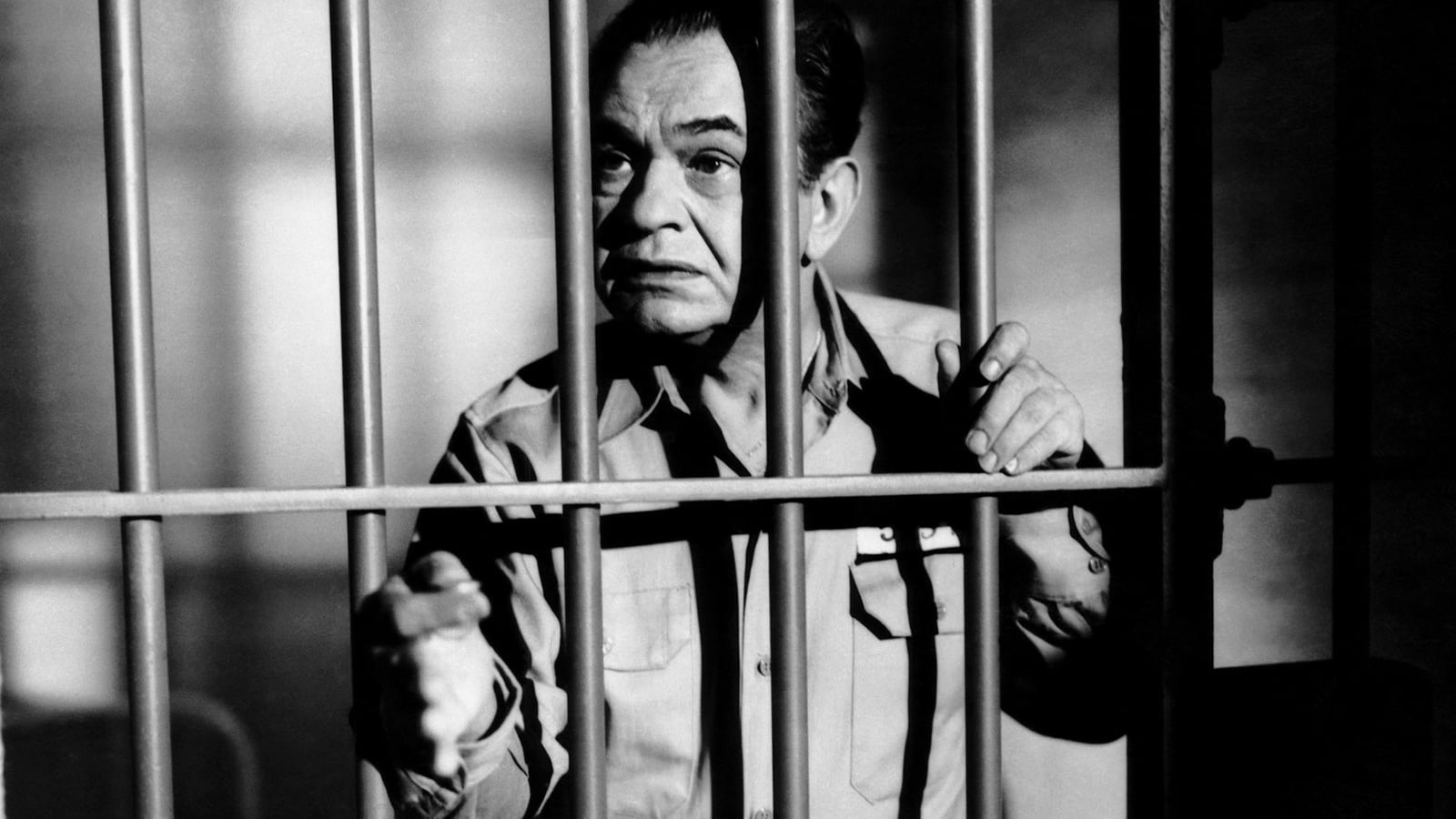 The Film Comment Podcast: Fall 2022 Rep Report