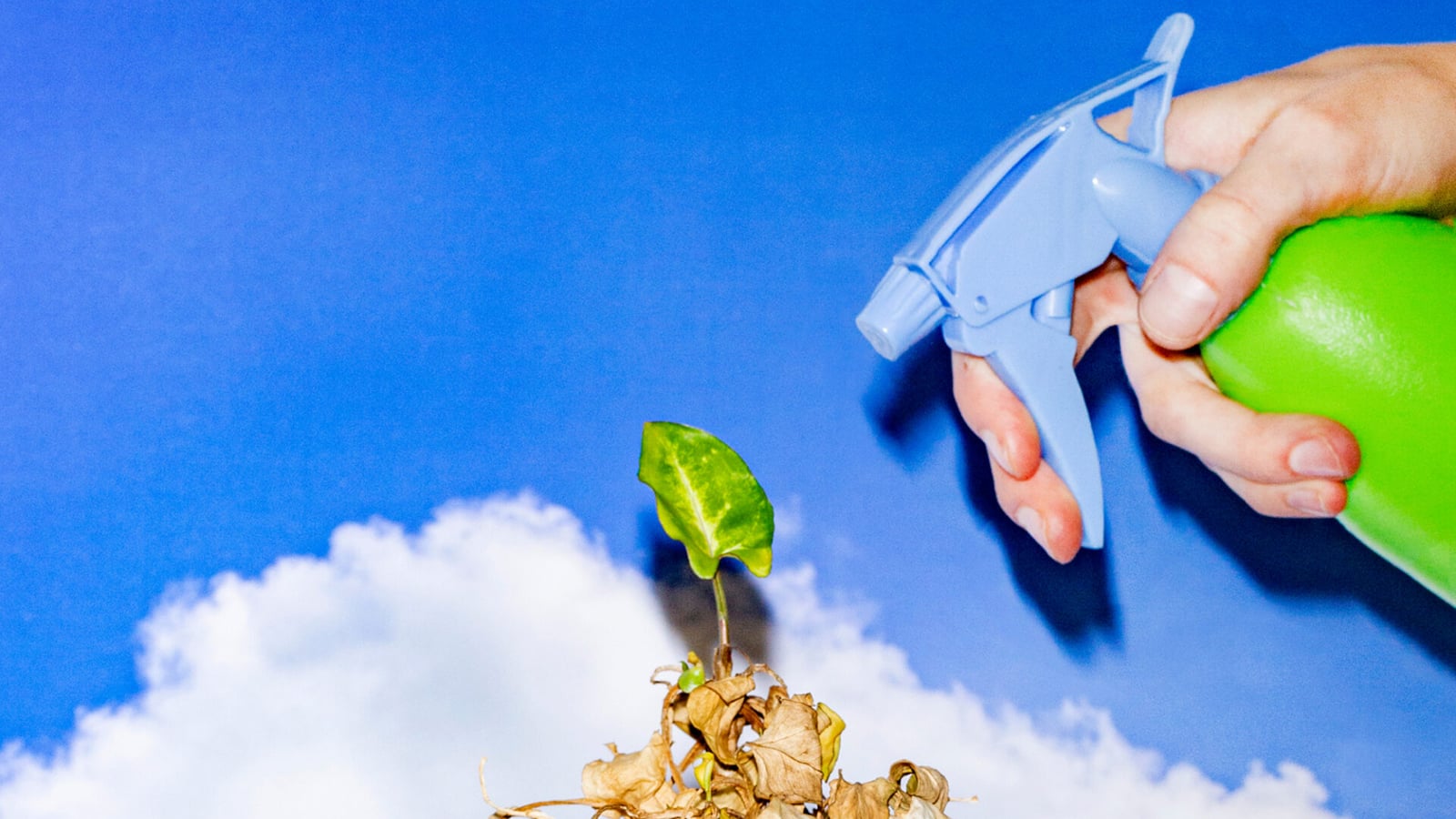 IDFA 2022: Locating the Real