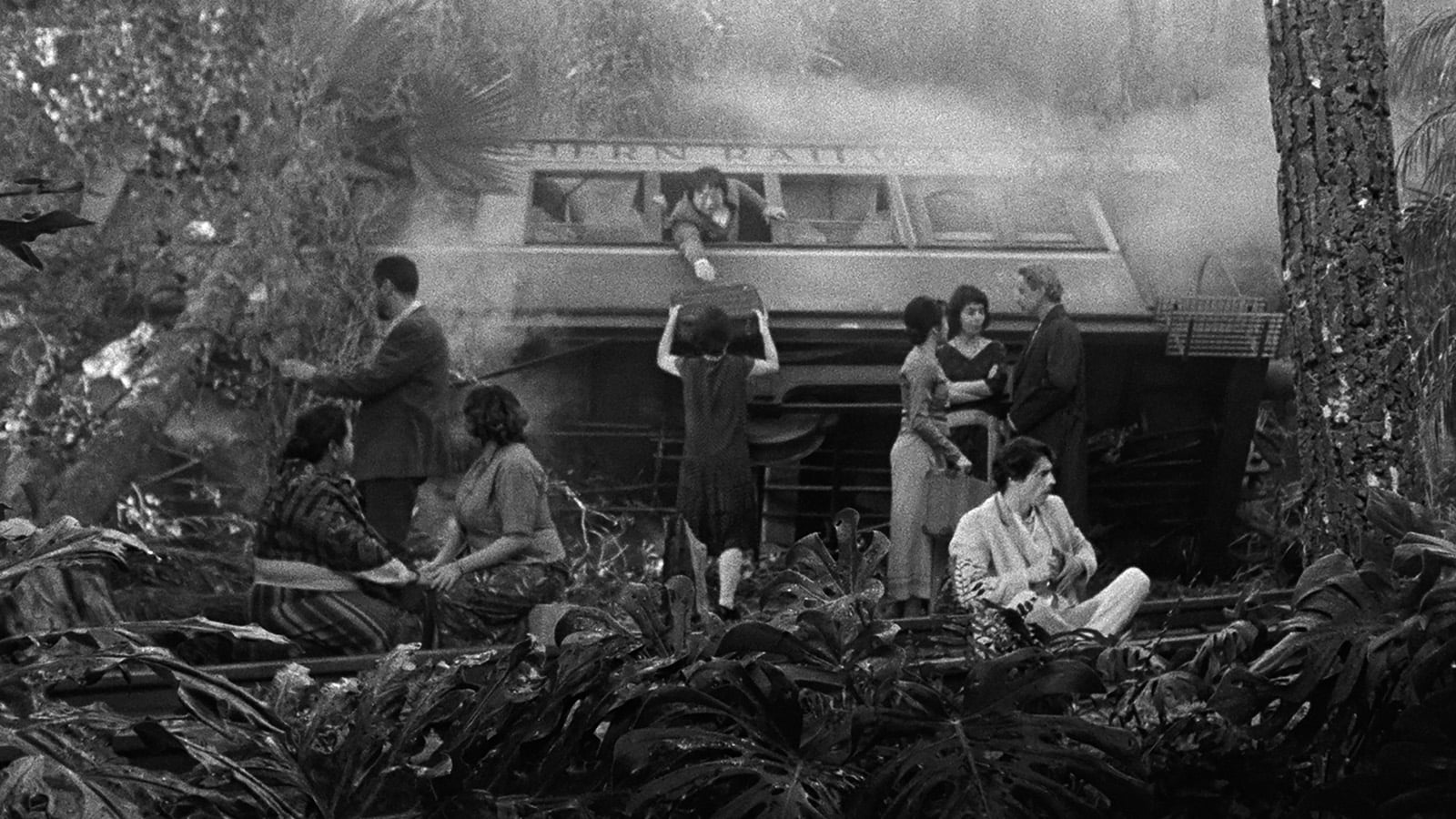 Interview: Miguel Gomes on Grand Tour